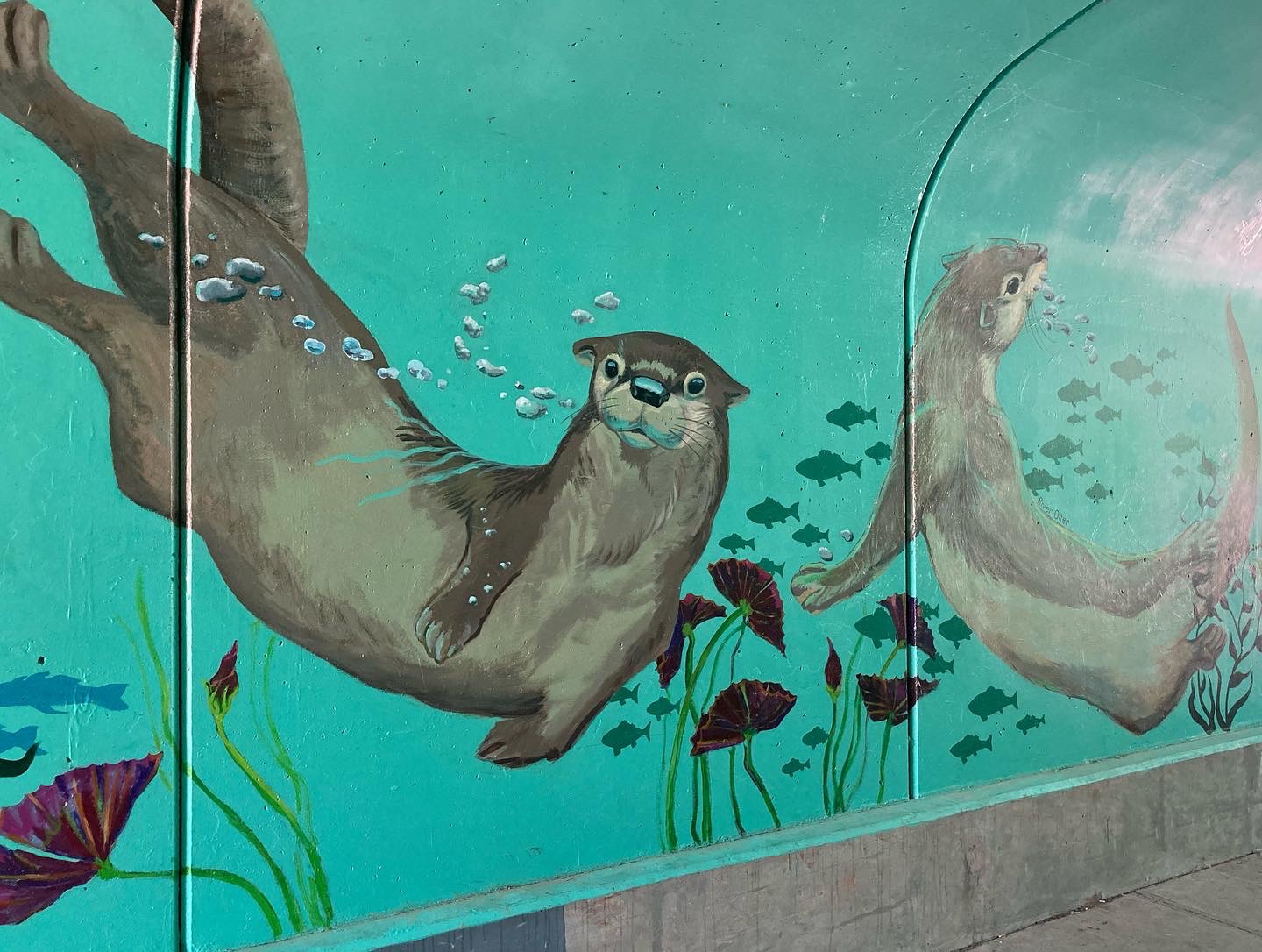 See on our adventures – Mountain Mama Adventures